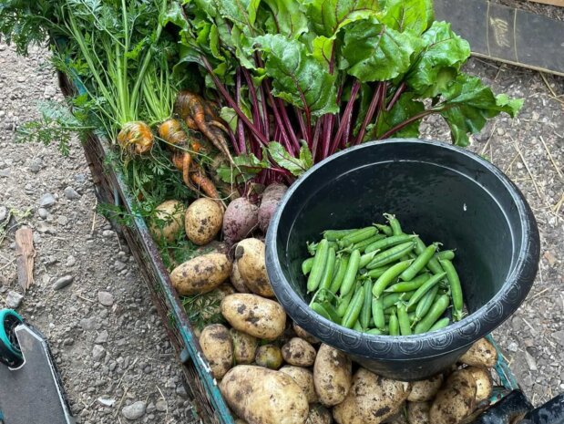 Castle Farm Countryside Classroom - Home